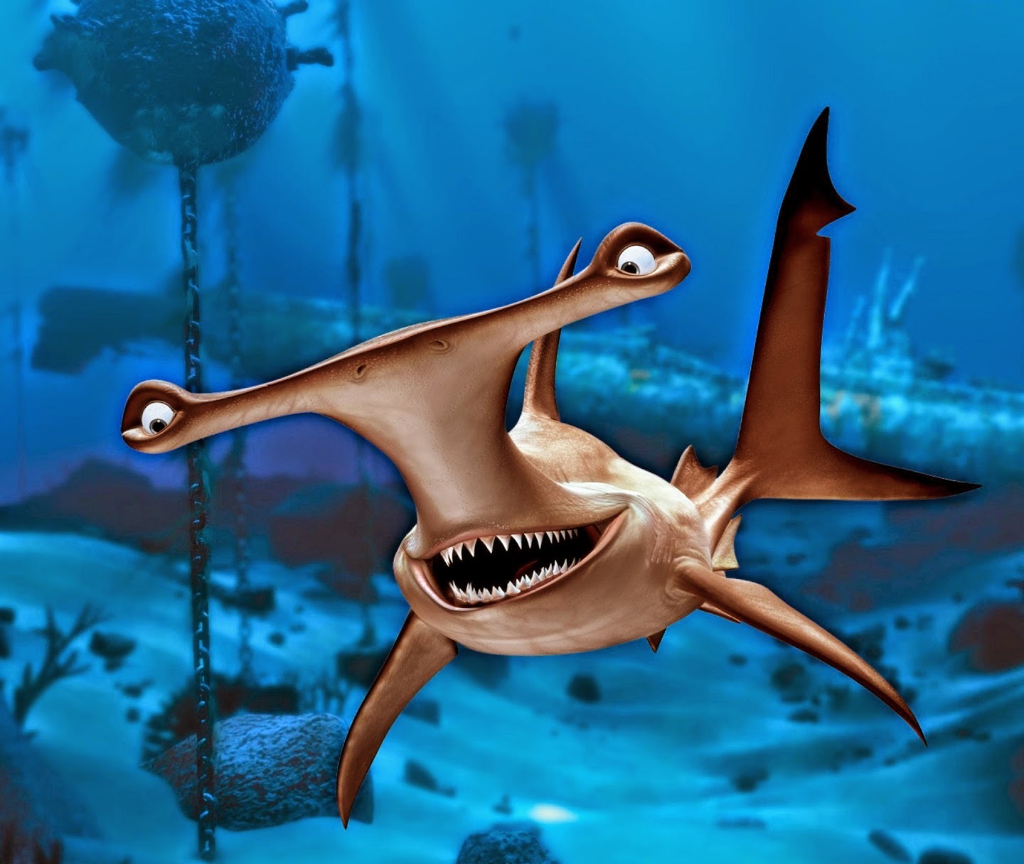 ΣΦΥΡΟΚΕΦΑΛΟΙ ΚΑΡΧΑΡΙΕΣ photos - wallpapers (ανανεωμένο) | the fun bank