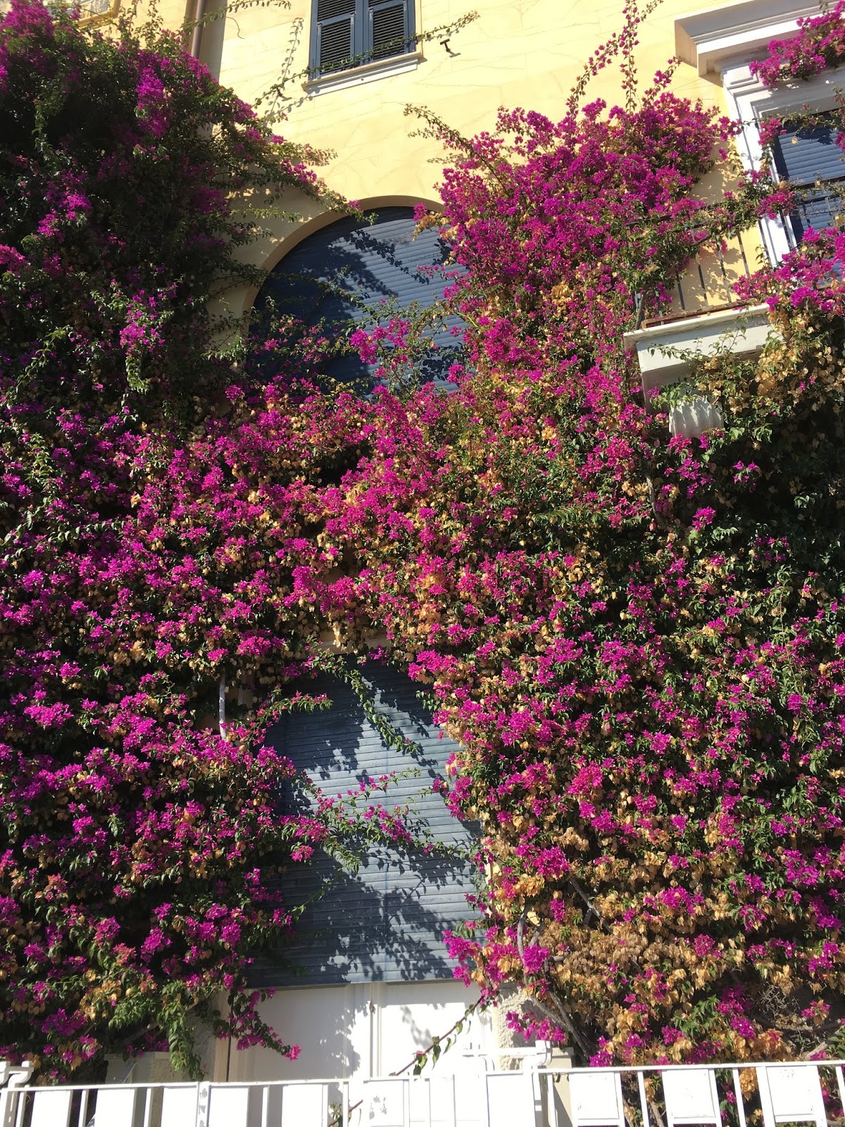 Chris and Kym - Europe 2018: Cinque Terra