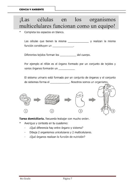 los seres vivos - Ciencia y ambiente 4to primaria