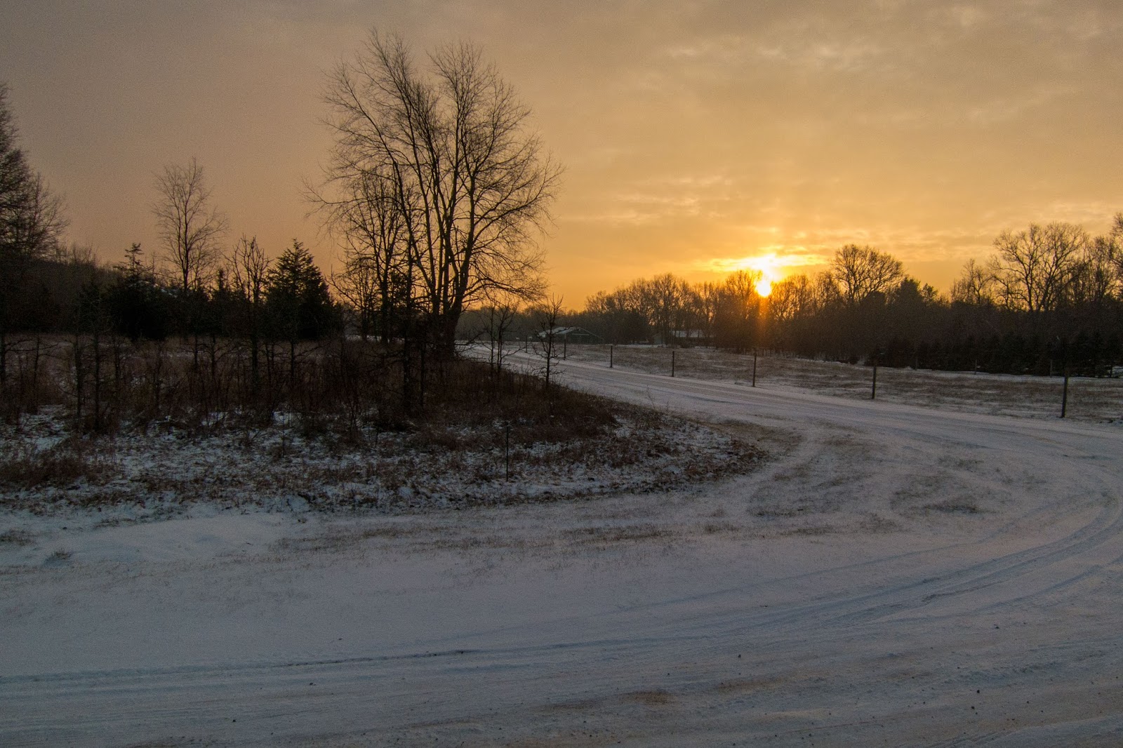 Eric's Hikes: North Country Trail between Middleville and Barry State ...