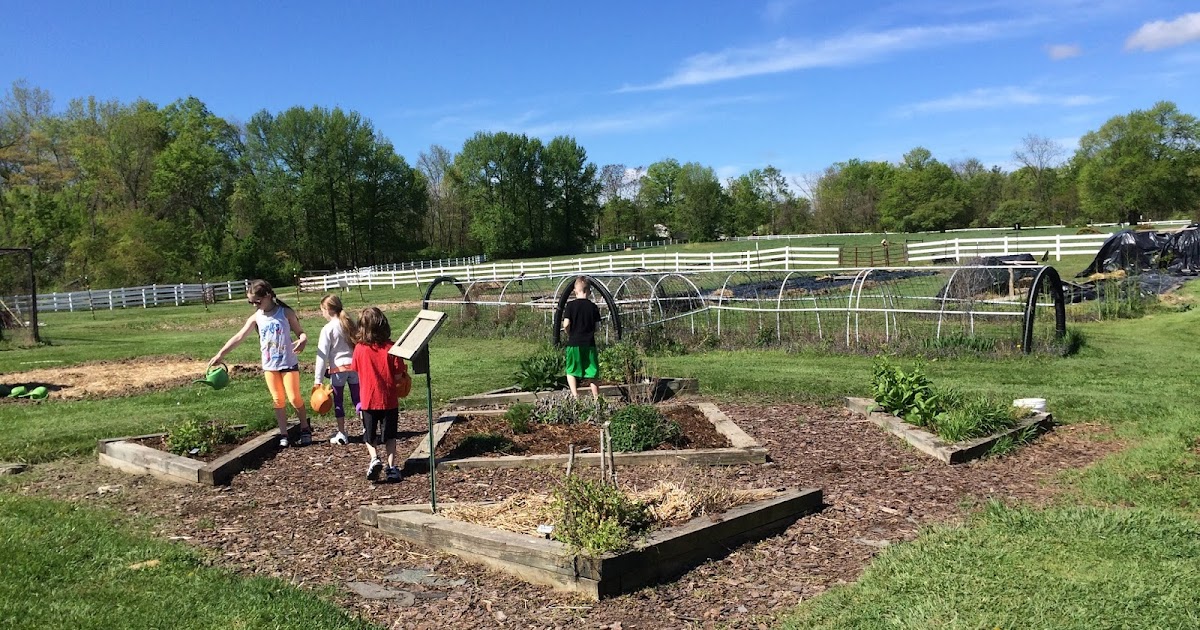 Homeschooling Mama to 7 on earth, 2 in heaven: Homeschool Adventures ...