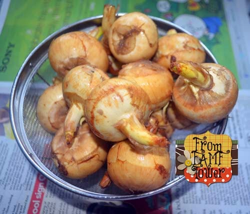 From FAMF Tower: Kerepek Ngaku yang Rangup dan Sedap, Tak Henti Mengunyah