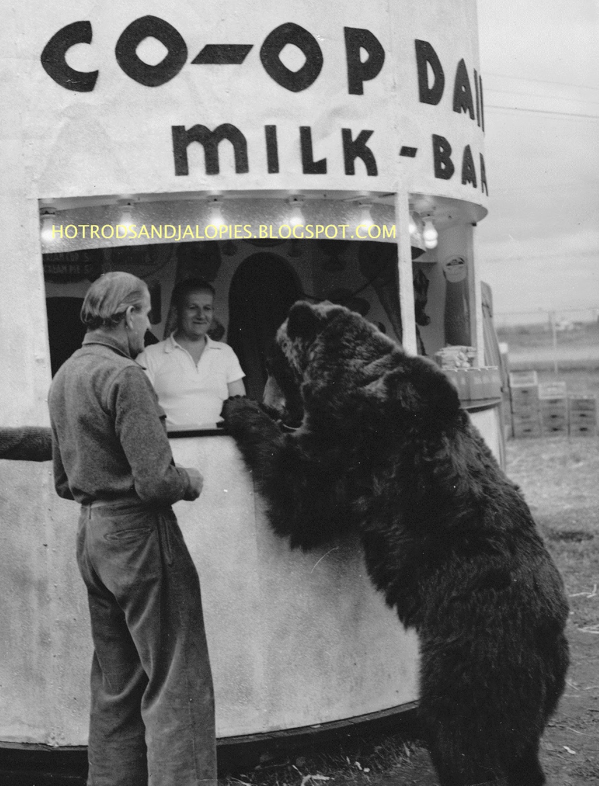 HOT RODS and JALOPIES: Thunder Bay Co-op, The Bear, The Bottles, Horse ...