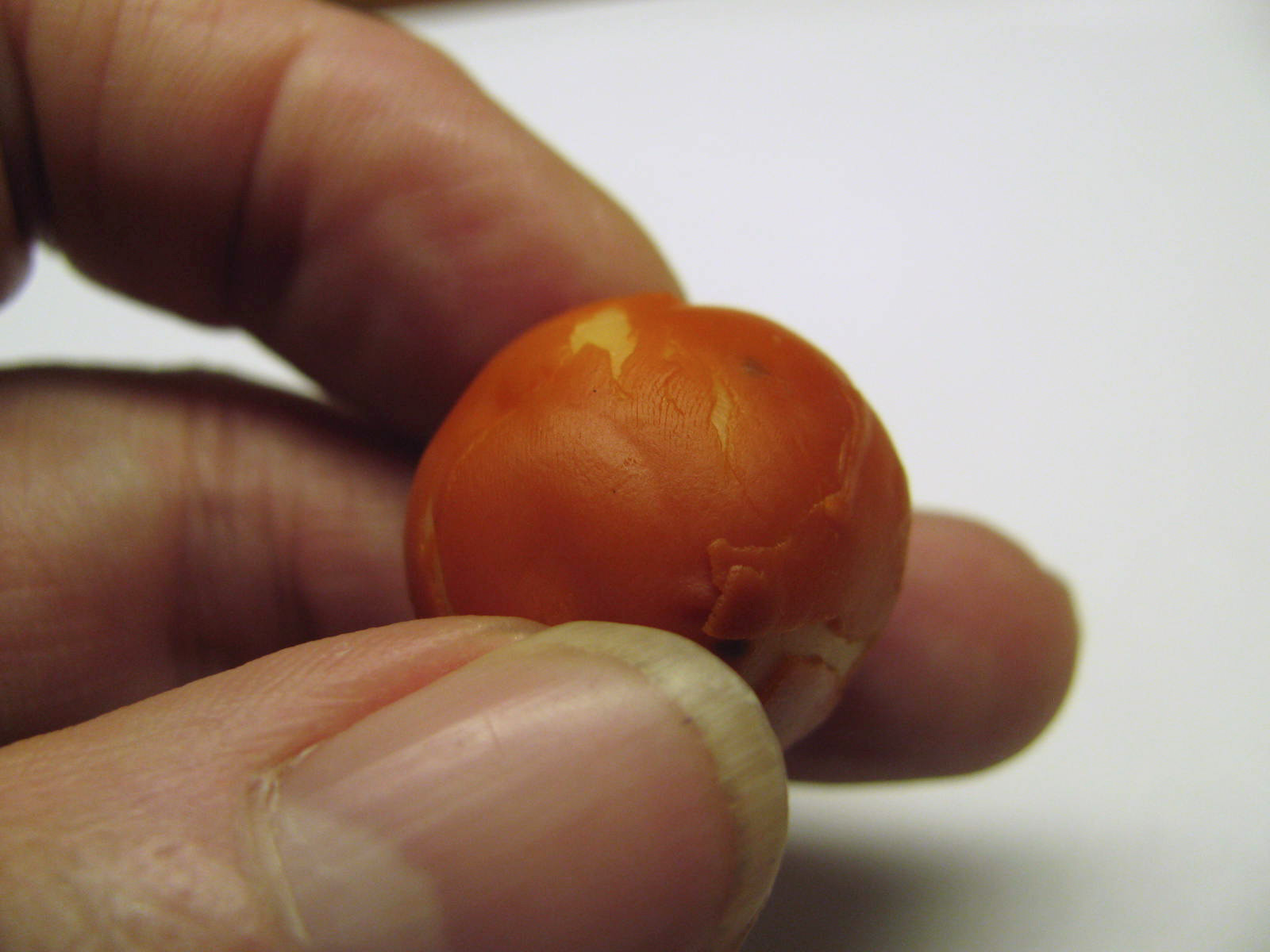 Claymagination: Faux Amber - A Slightly New Approach