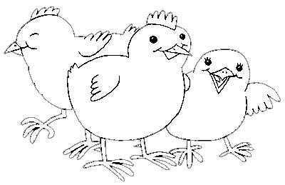 POLLITO para colorear para niños - Imagui