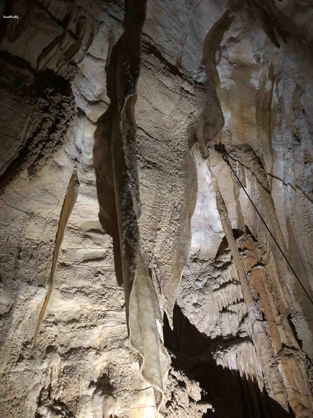 Hawaii Mom Blog: Visit New Zealand: Ruakuri Cave