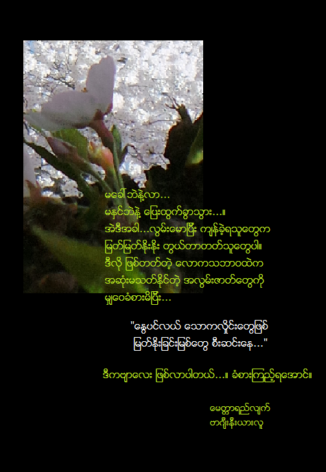 Virginia Lu: Myanmar Poem "The Cherry Which Was Loved By Heart"