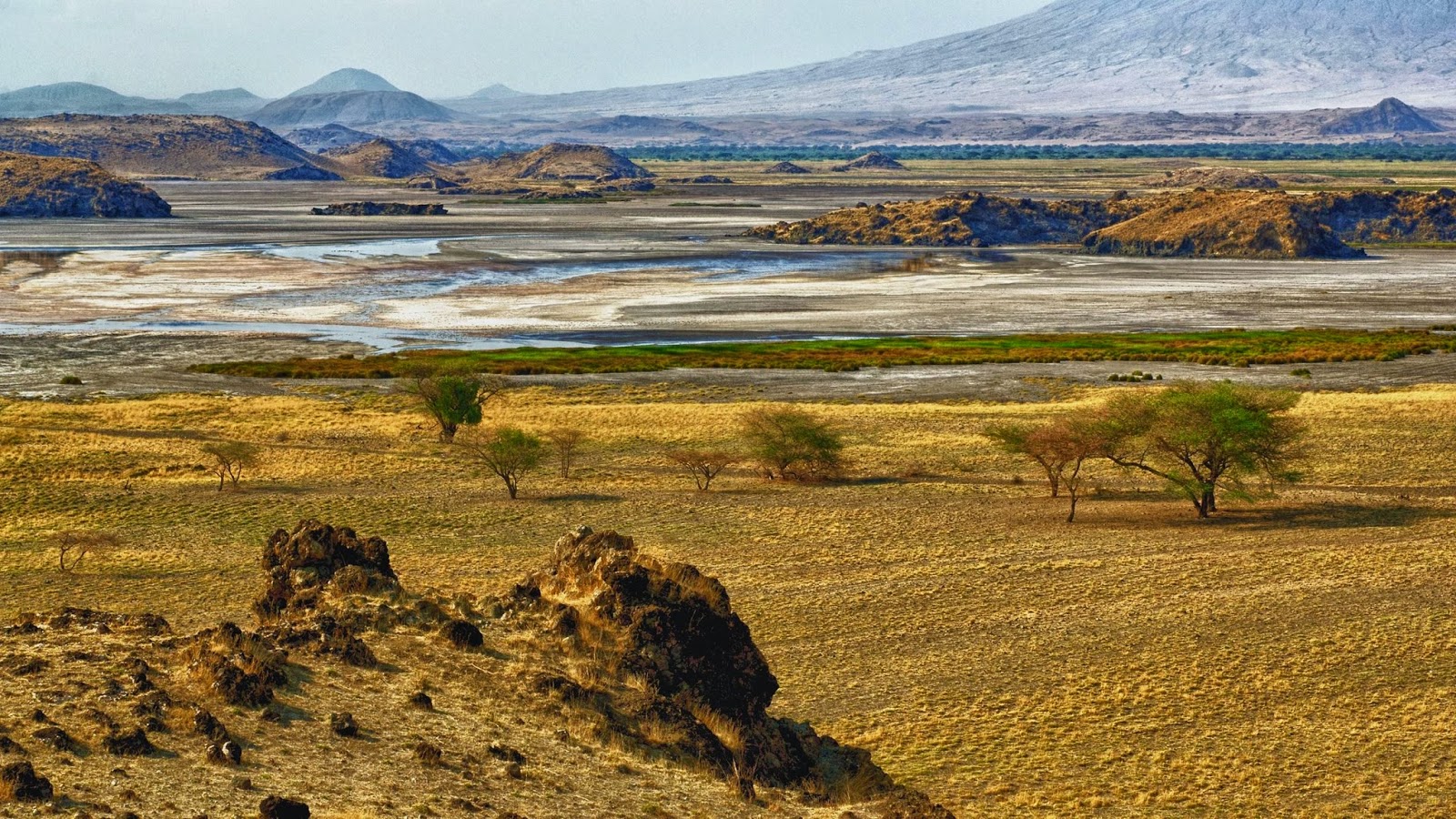 Stuart Marsden's Conservation Research Group: October 2014