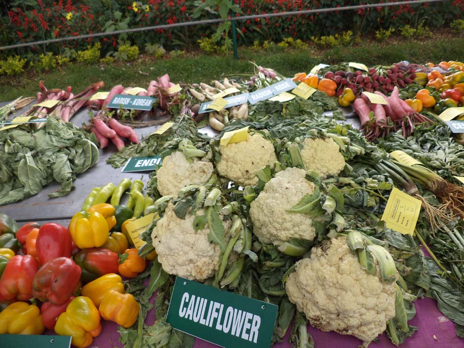 Cottages in Ooty: Kotagiri Vegetable Show 2012