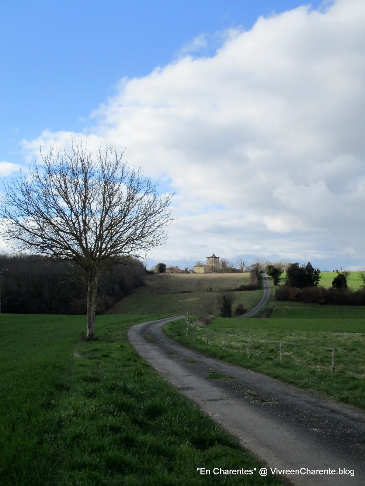 VivreEnCharente.blogspot.com: Logis de Sigogne