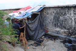 La vida en Bolivia: Interview mit einem ehemaligen Straßenkind