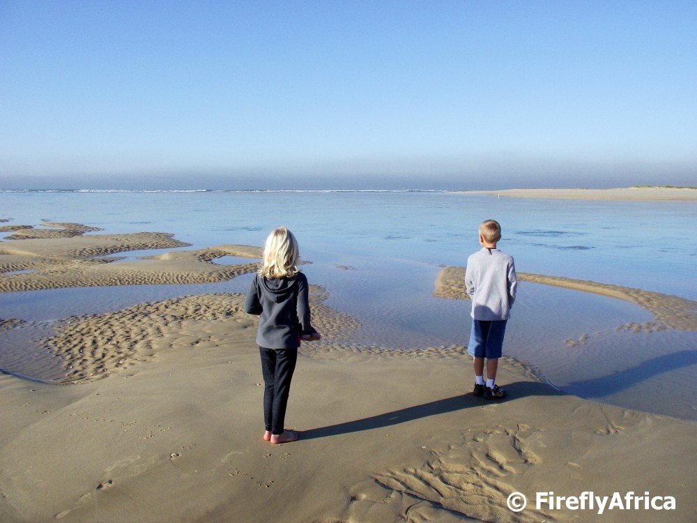 Port Elizabeth Daily Photo: River mouth