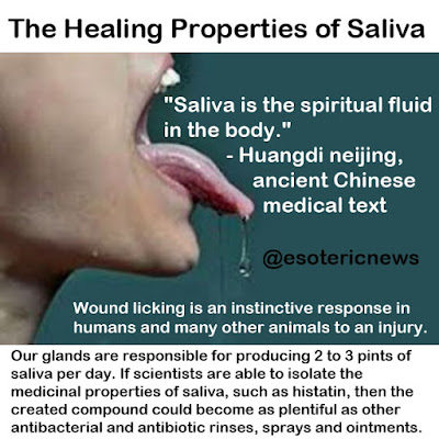 Conscious Transmitter: The Healing Properties of Saliva!