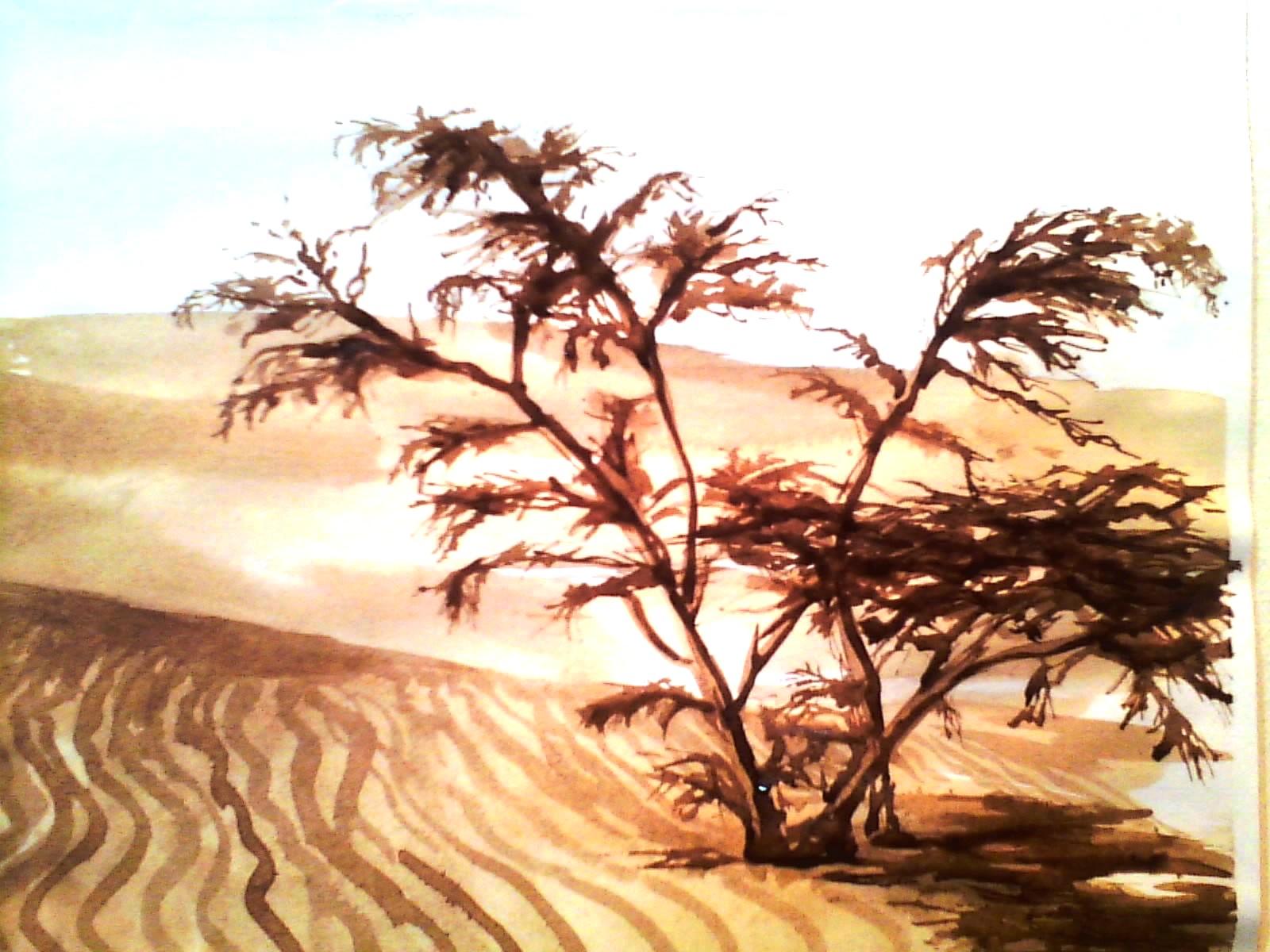 ARS LONG VITA BREVIS: EL HUARANGO EN SU TINTA