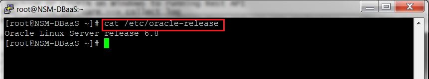 Netsoftmate Technical Blog : Oracle DBCS : Configure and Use VNC (GUI) On Oracle Cloud Compute Node