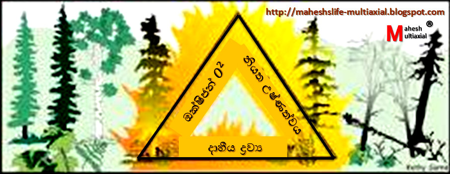 September 2012 ~ මයියා-ඉලන්දාරියකුගේ සයිබර් සටහන