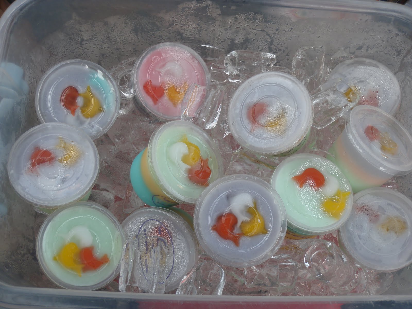 What's Up My Pudding Cup: What's Up My Pudding Cup