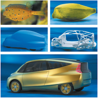 MechOmecH: BIOMIMICRY - Designs that we got from nature