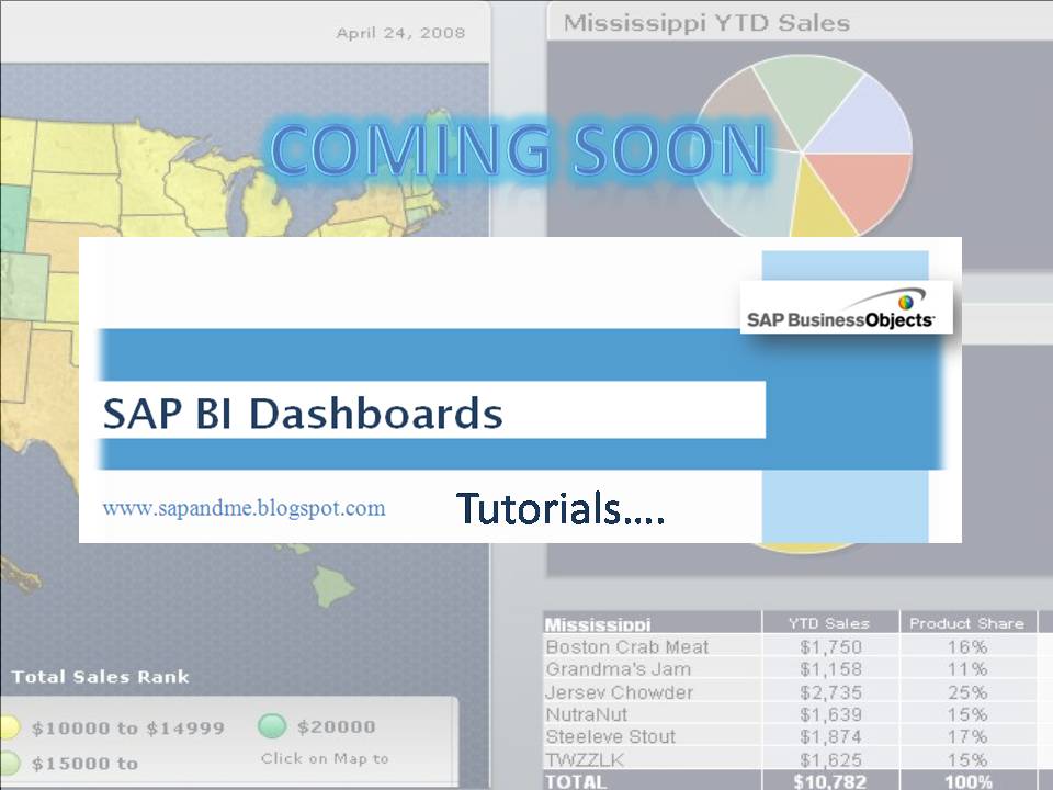 SAP Business Intelligence for Beginners