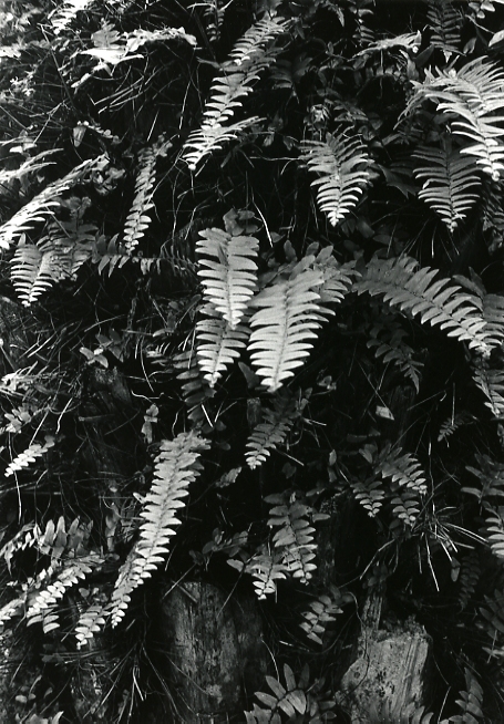 Ezile Bay - Ghana - Des nouvelles de Jean Pierre Evrard - Paperblog