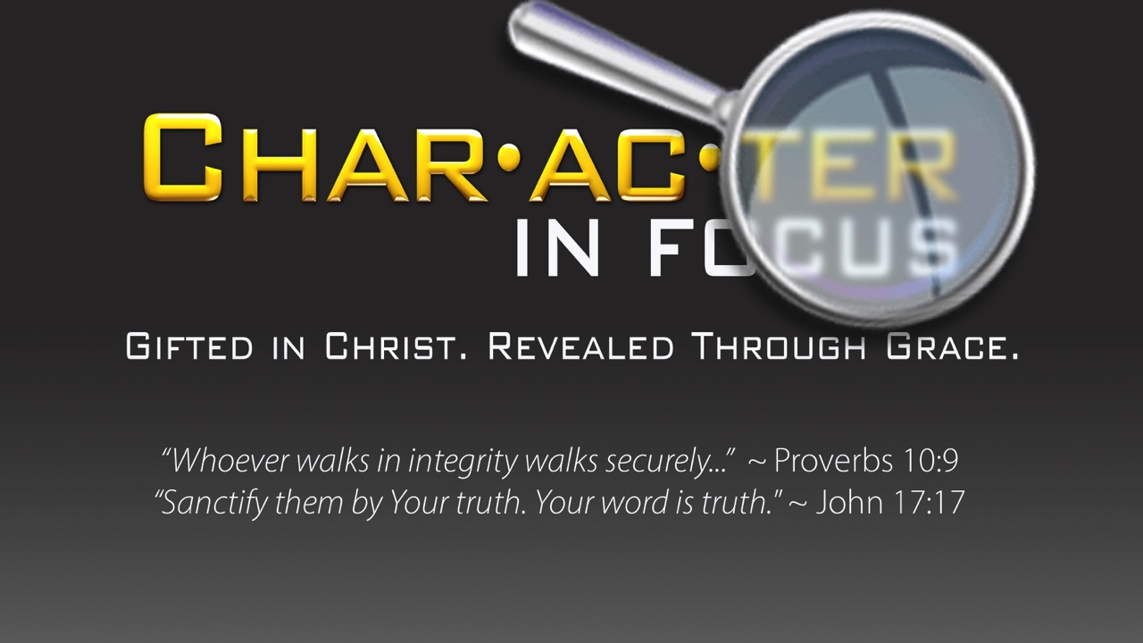 Character In Focus - 20 Character Qualities (Text and PDF Download ...