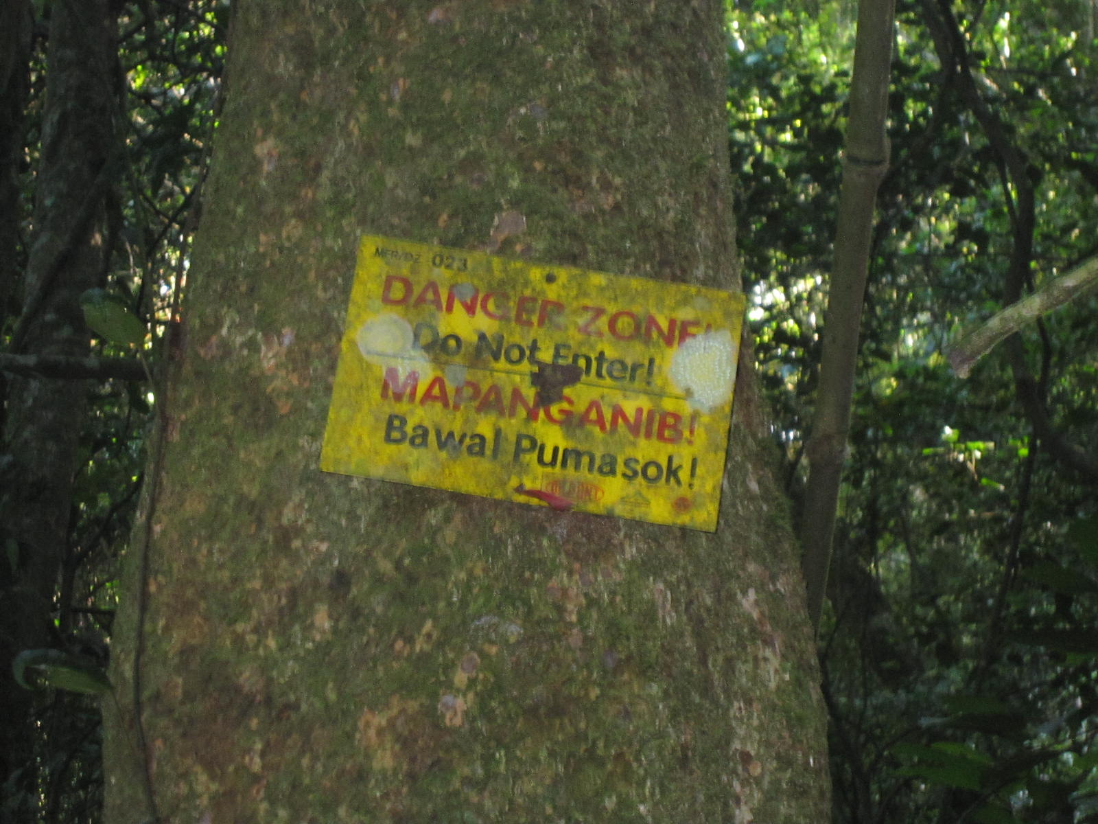 bundok makiling - philippin news collections