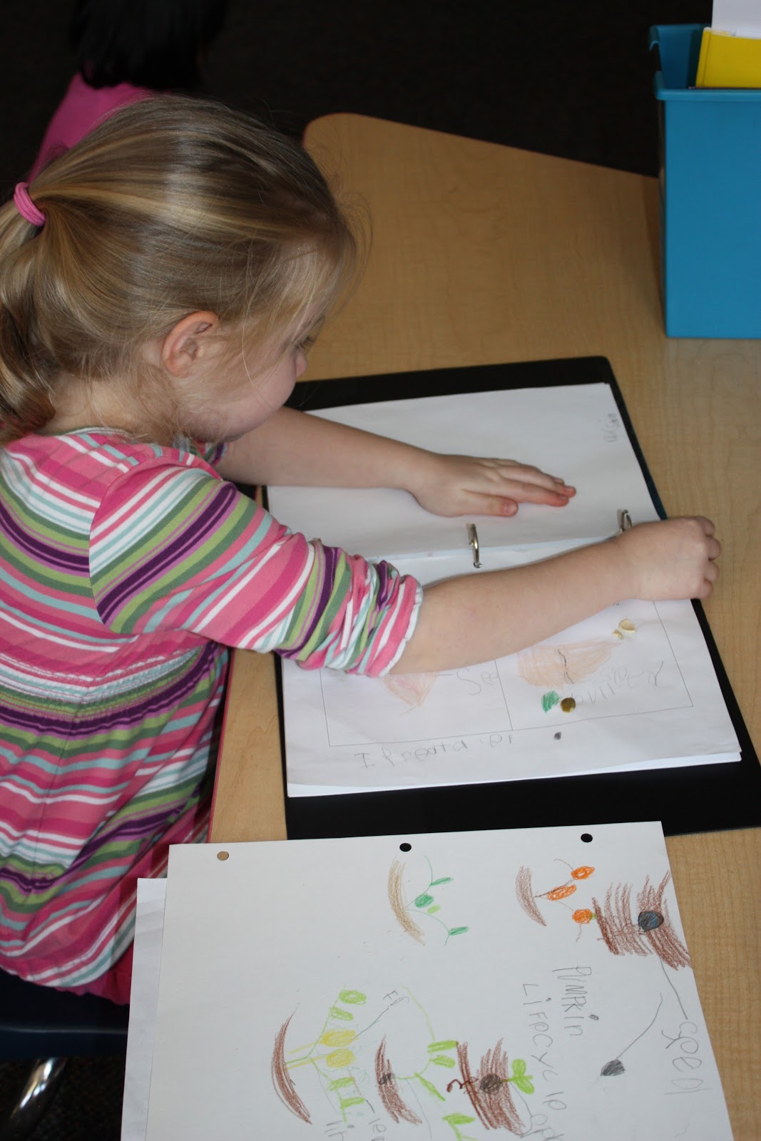 Mrs. Atkin's Kindergarten: Portfolios- Preparing for Student-Led ...