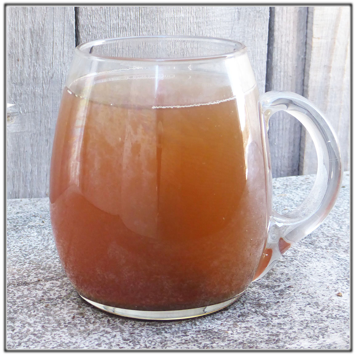 Gör egen kombucha! Scoby svamp till salu, skickas med vanlig post på 1 ...