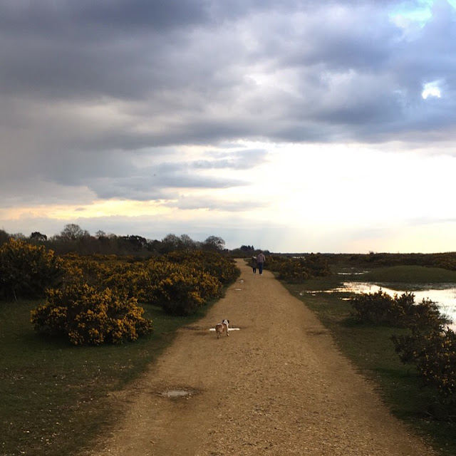 Handmade Em: Dog Walks: Greenham Common, Newbury, West Berkshire