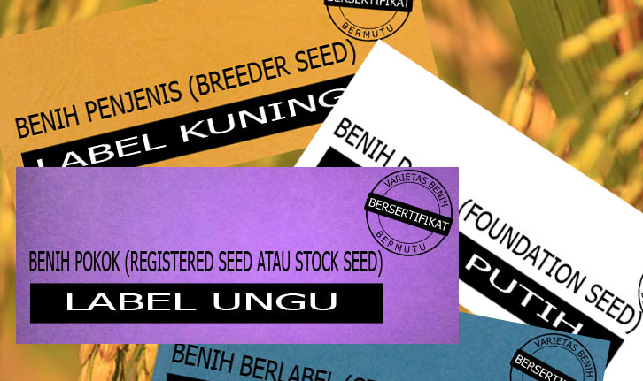 Arti Keempat Warna Label Benih Padi Bersertifikat - kliktani.com