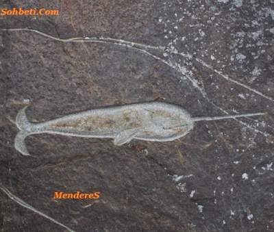 A dan Z ye Define İşaretlerin Anlamı