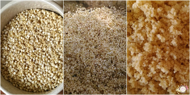 ¿Cómo cocinar quinoa? - Sabrina´s Sea of Colors