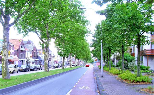 Dorpen en Steden van Nederland: Pijnacker (Zuid-Holland)