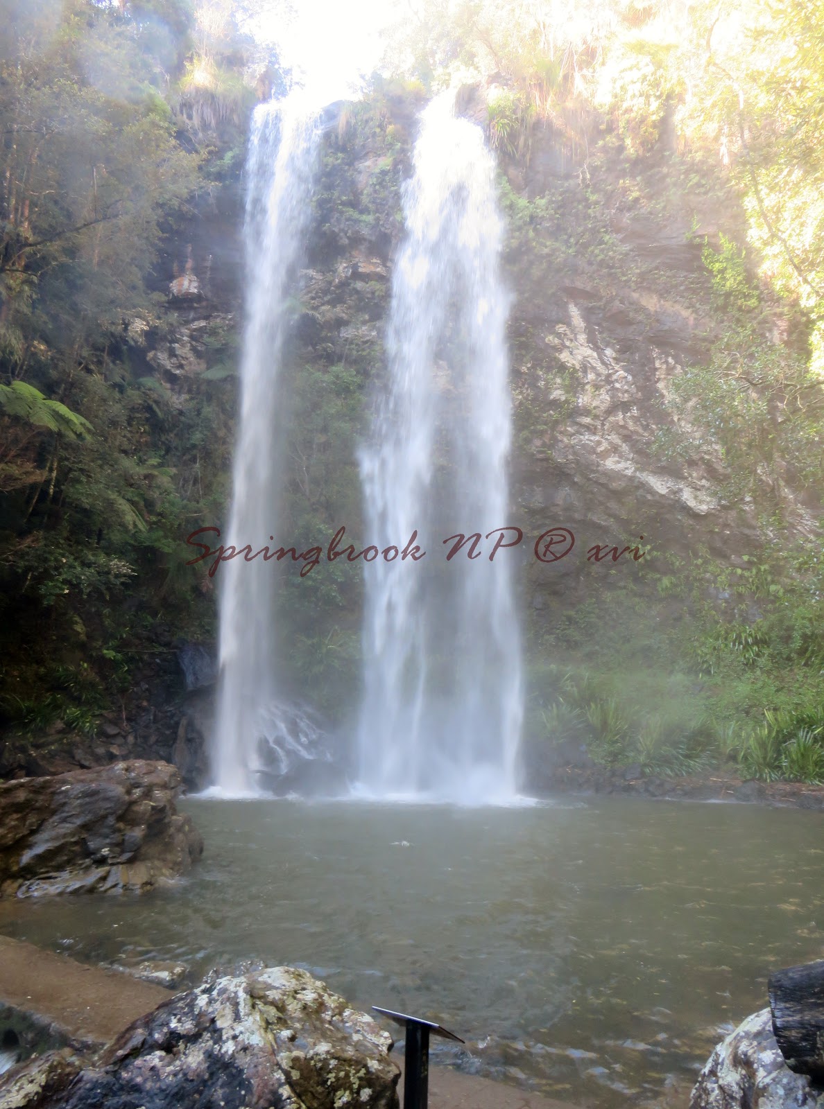 An Igorot Journey: The Waterfalls of Springbrook National Park