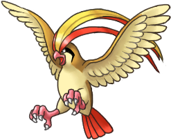 Poke-Rincón: Pidgeot