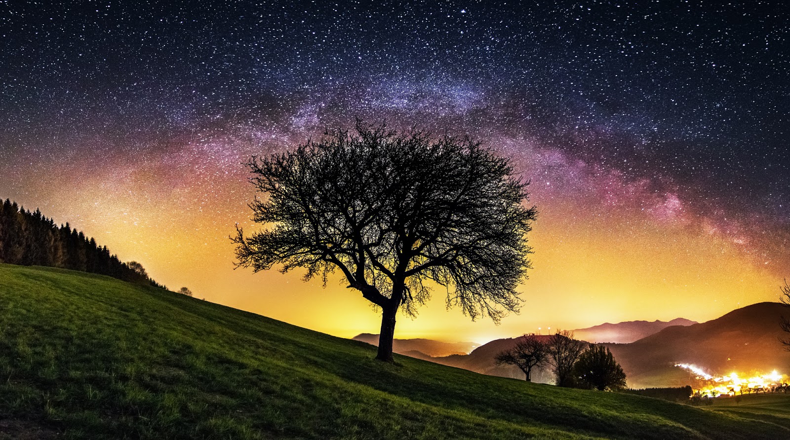 Kari LikeLikes: Milky Way arching over a beautiful tree on "Kaiserkogl ...
