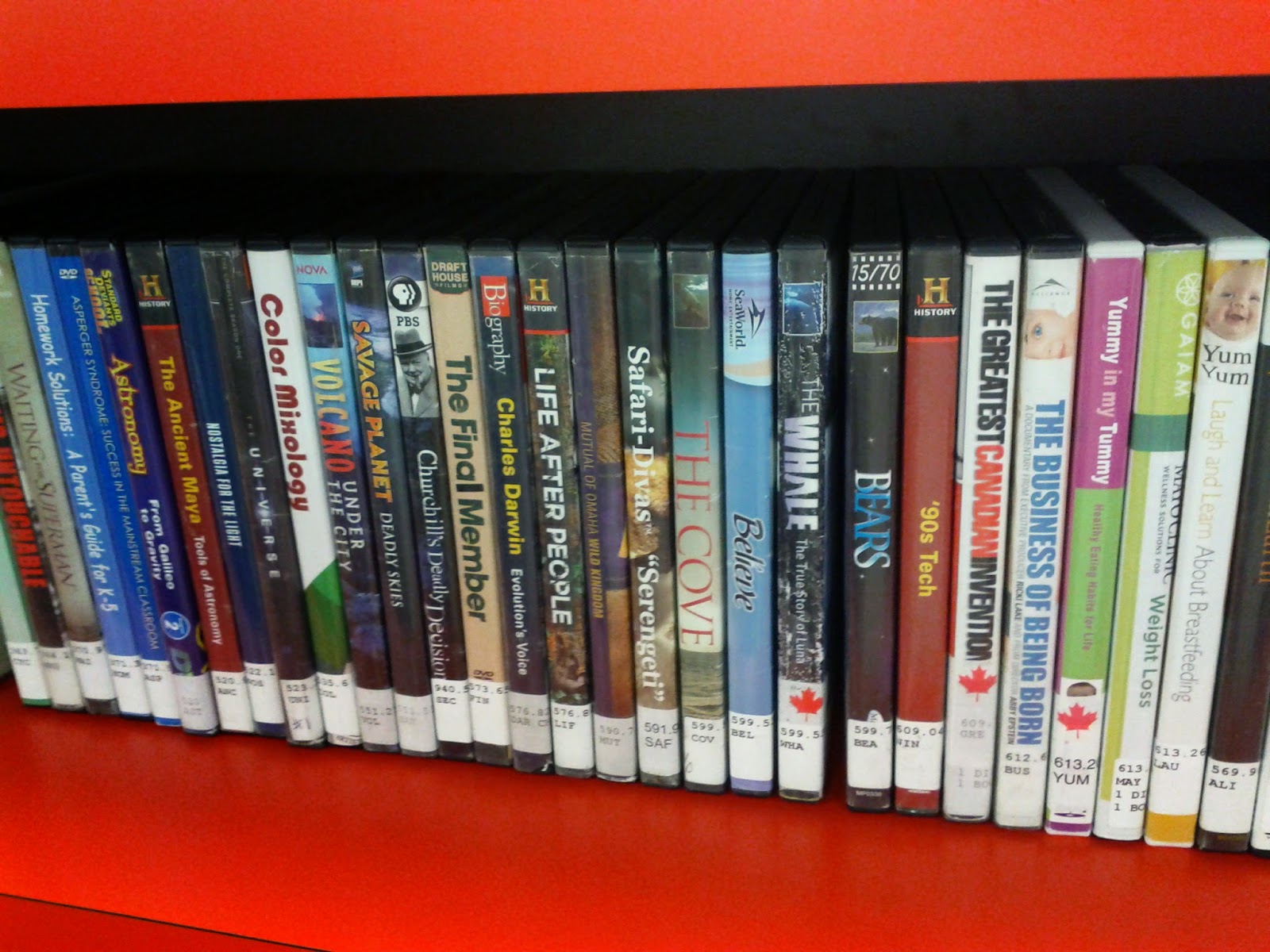 Toronto things: Stock photo: Library books and DVDs