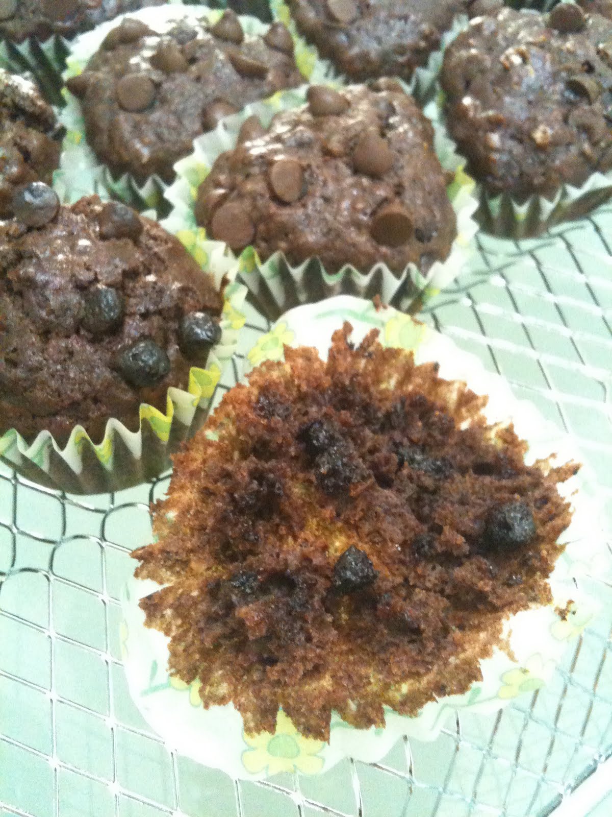 Sherlyn's hobbies blog （Sherlyn's 爱好部落格）: Playing with the same recipe