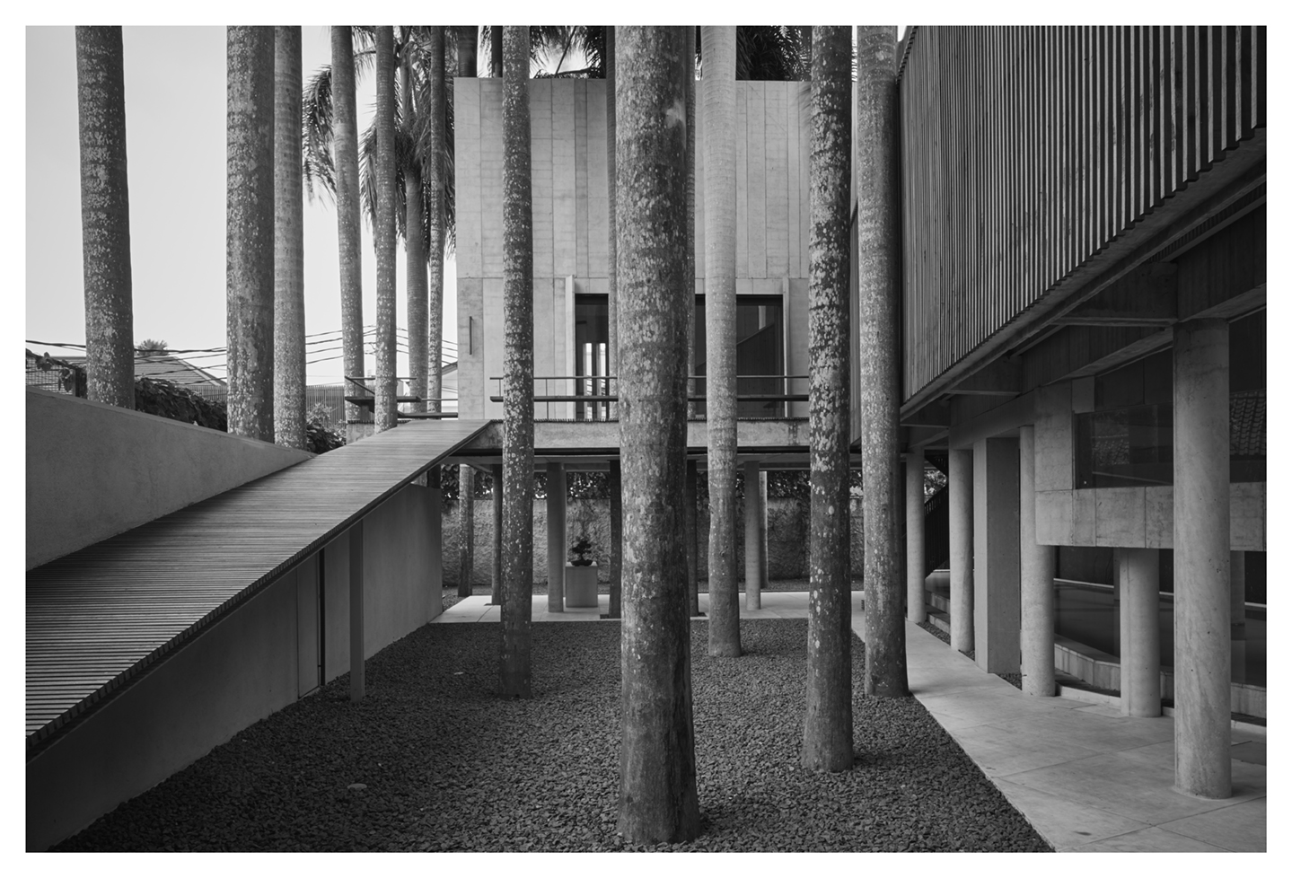 MARTIN WESTLAKE: Palm House - architect Andra Matin