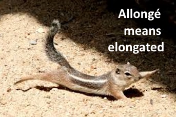 Wacky Wednesday Allongé