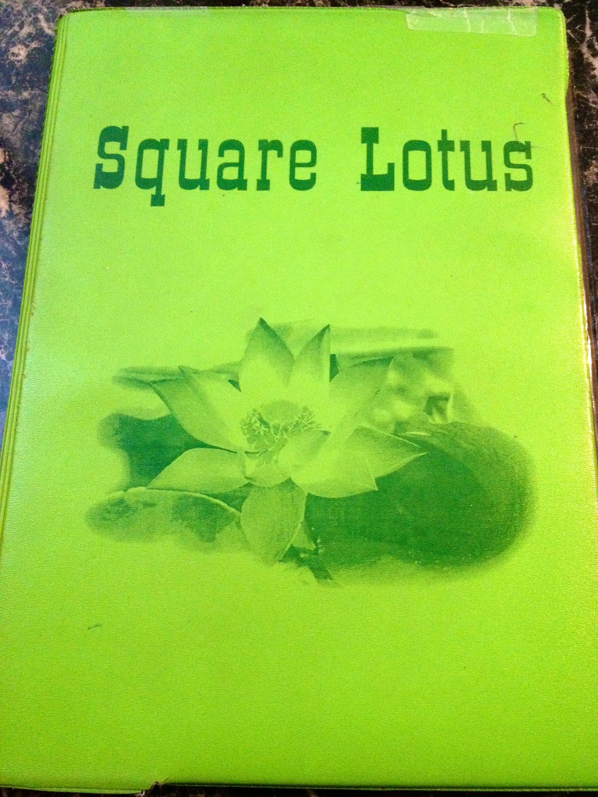 foodbibber: Square Lotus