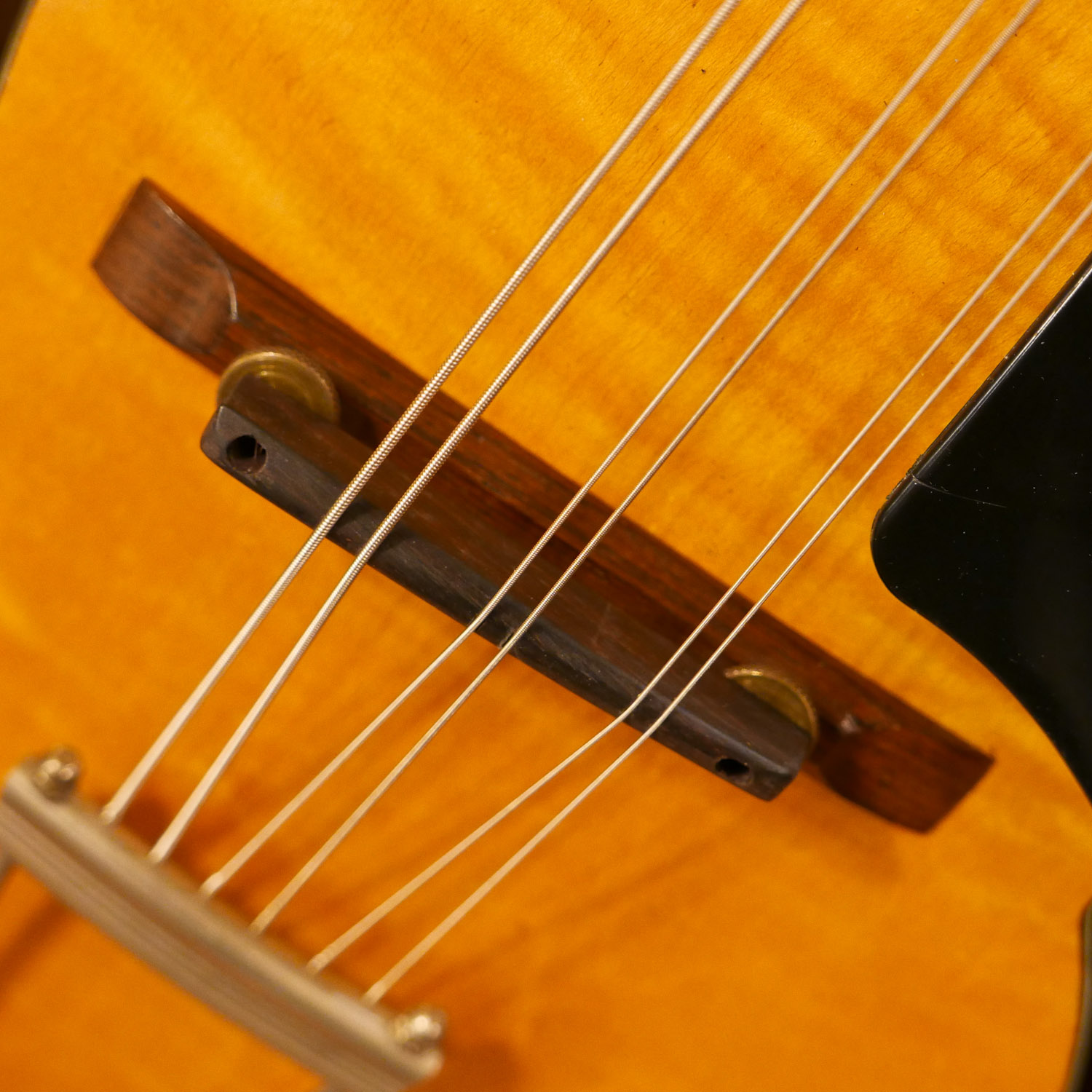 1950s National New Yorker Archtop Electric Mandocello Conversion