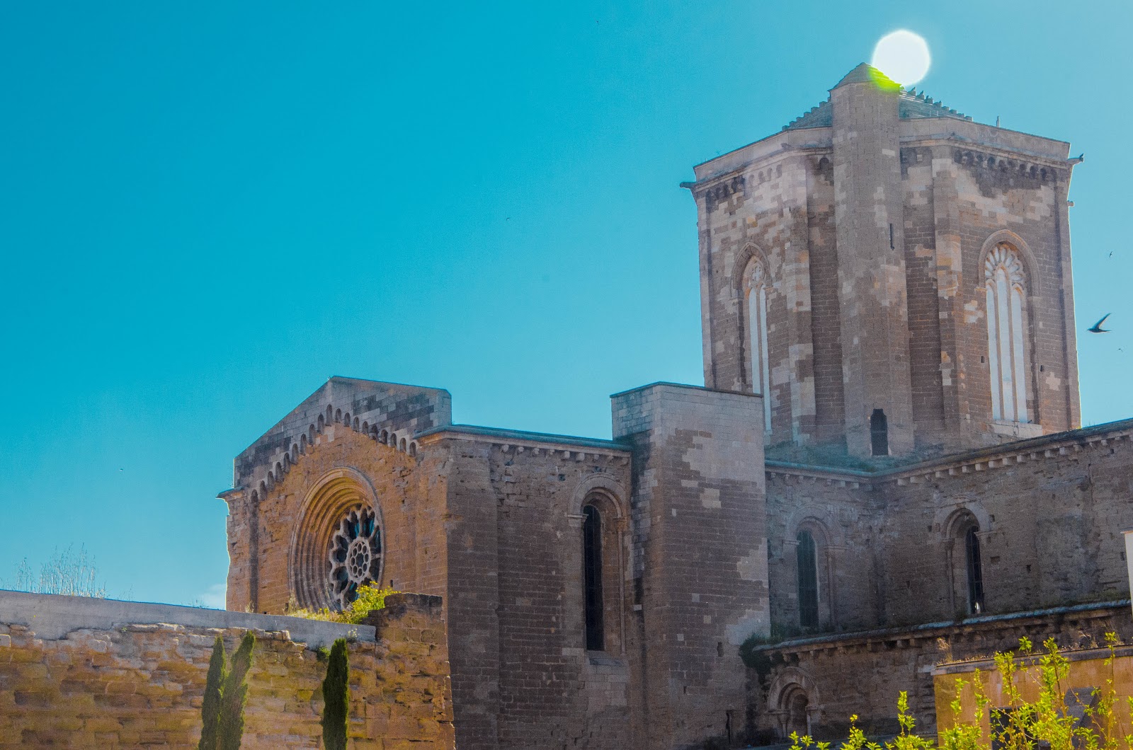 Catedral de la Seu Vella de Lérida/España | Siguiendo al Conejo Blanco ...