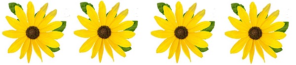 [Reseña] Un final perfecto - John Katzenbach | Hojeando mundos...