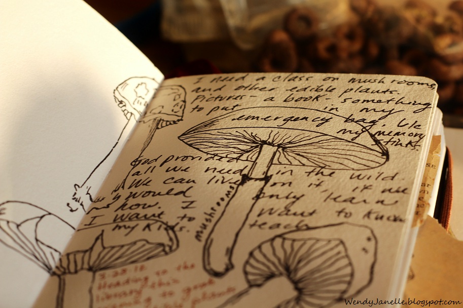 Living Creatively: Nature Notebooking