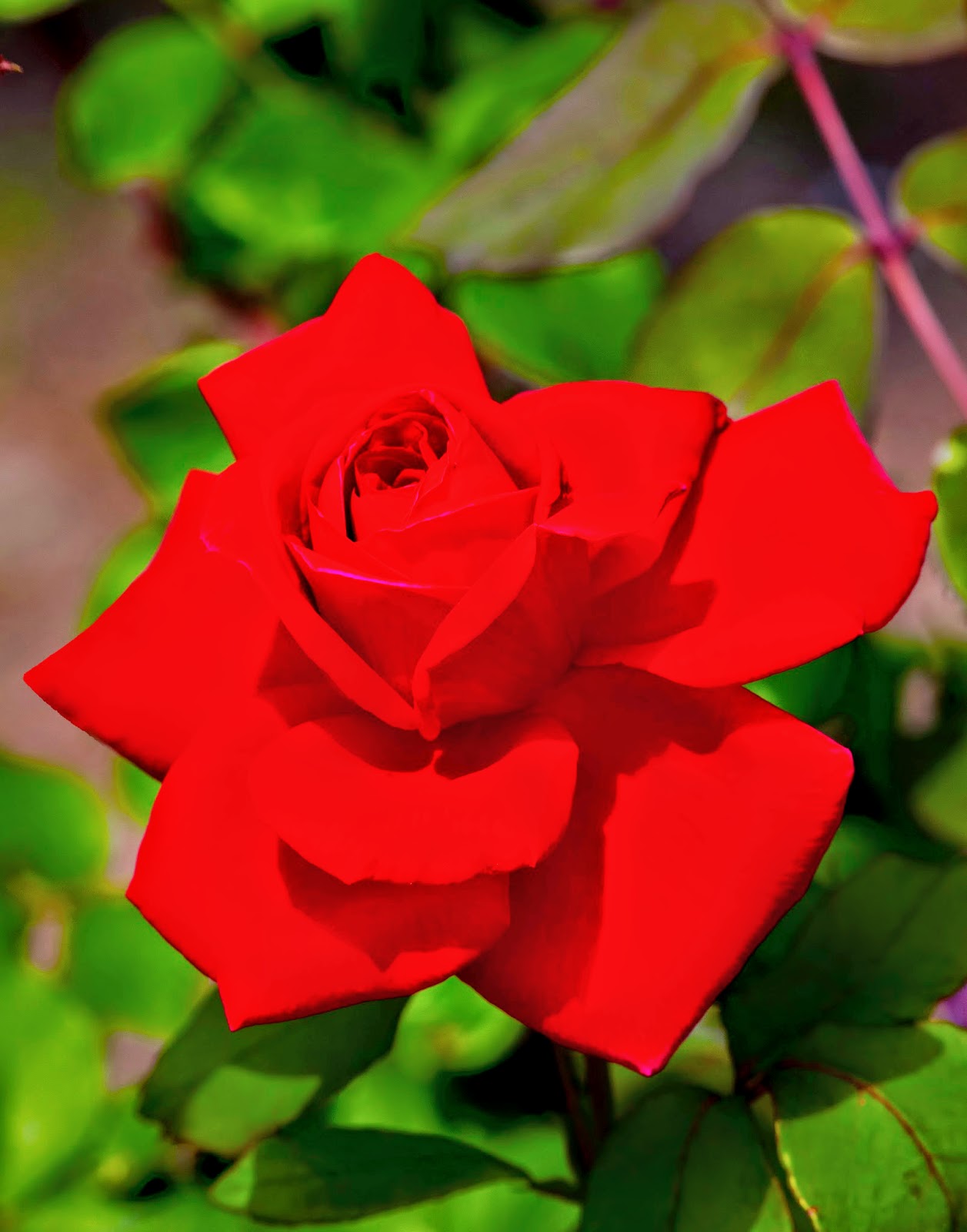 I See His Blood Upon The Rose by Joseph Plunkett