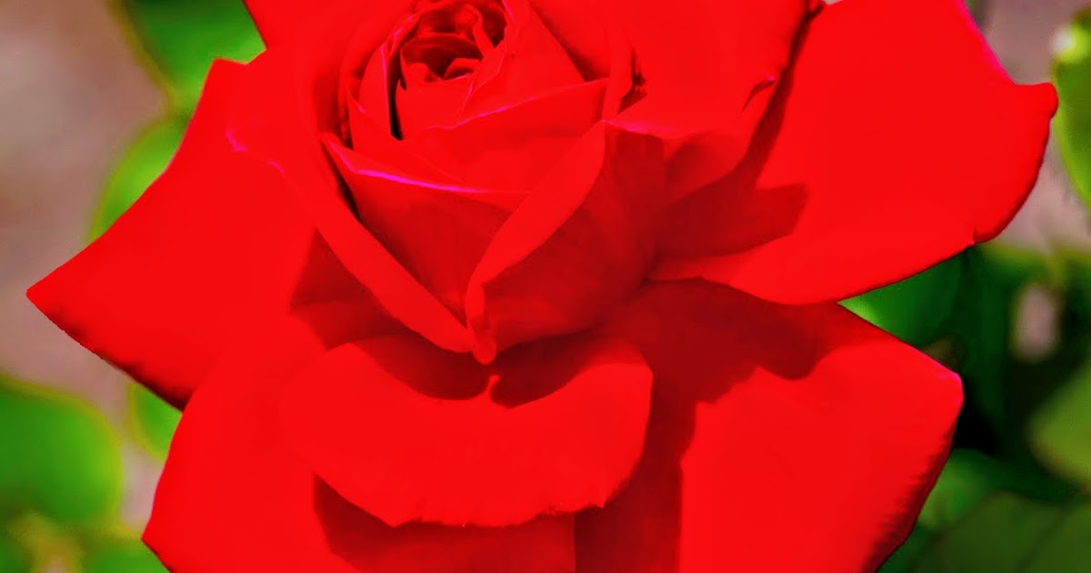 I See His Blood Upon The Rose by Joseph Plunkett