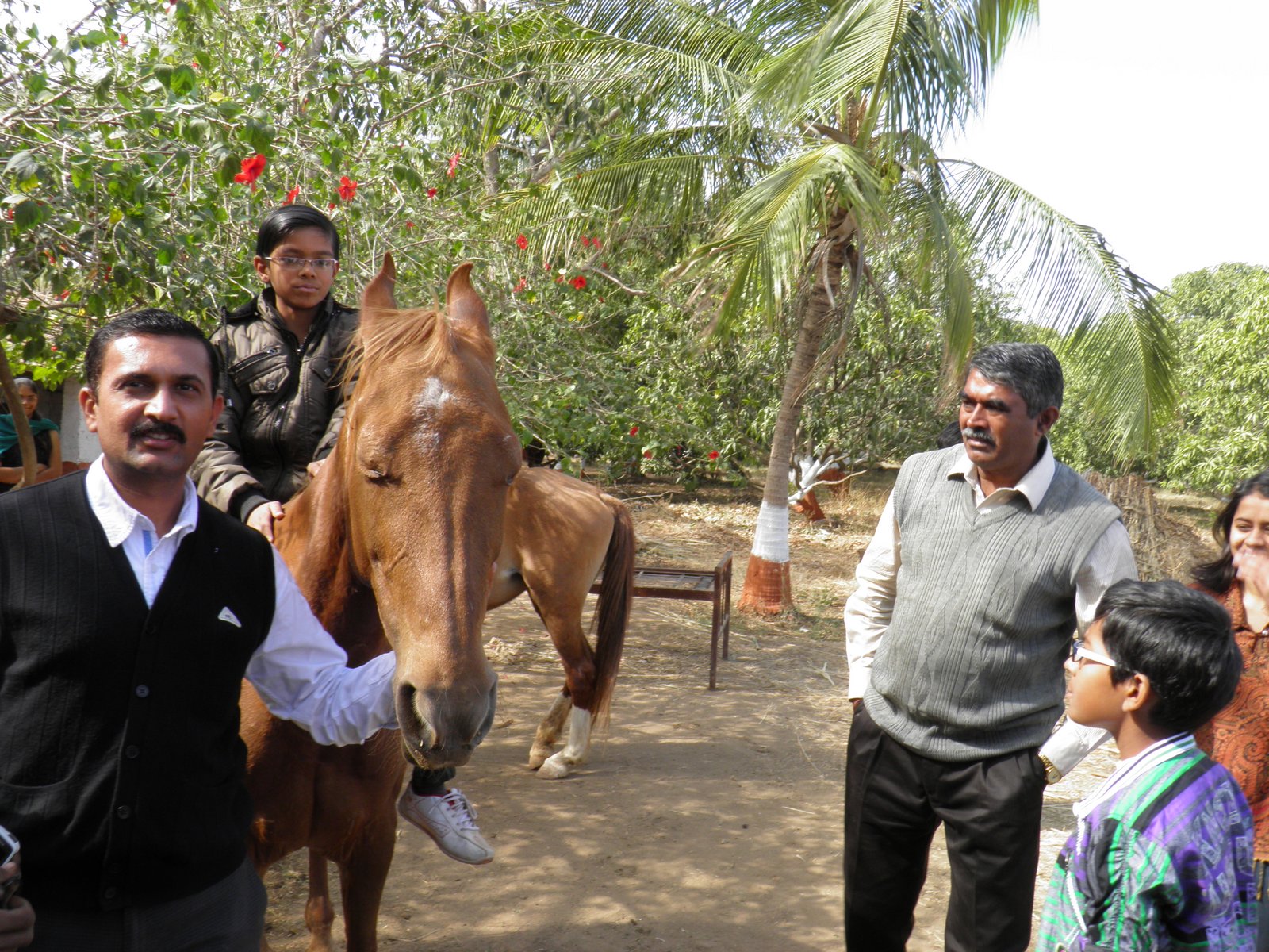 SHREE R D JHALA HORSE RIDING CLUB RAJKOT: MAULIK,JENISH AND GOHEL SIR