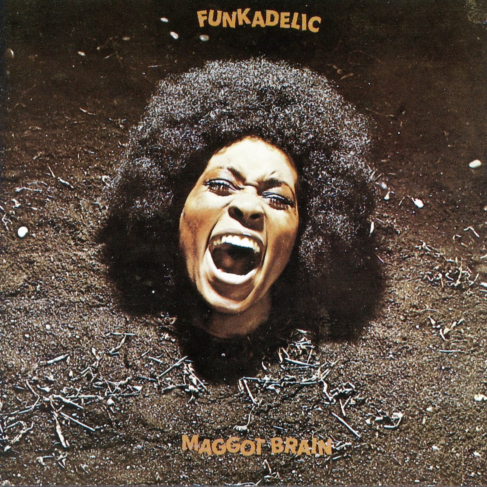 Ragged Glory: Maggot Brain