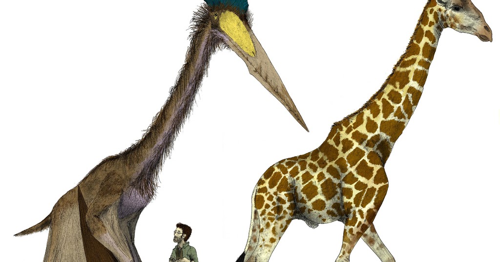 johnscotthowell: Flying Giraffes